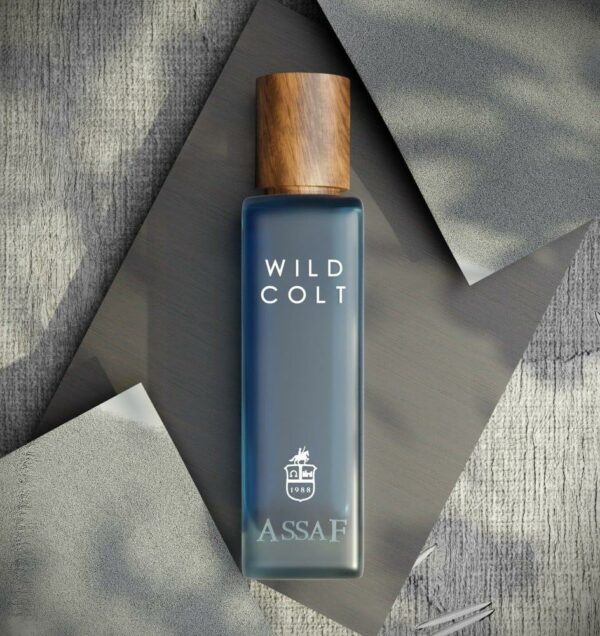 ASSAF WILD COLT 200 ML – Briki parfums